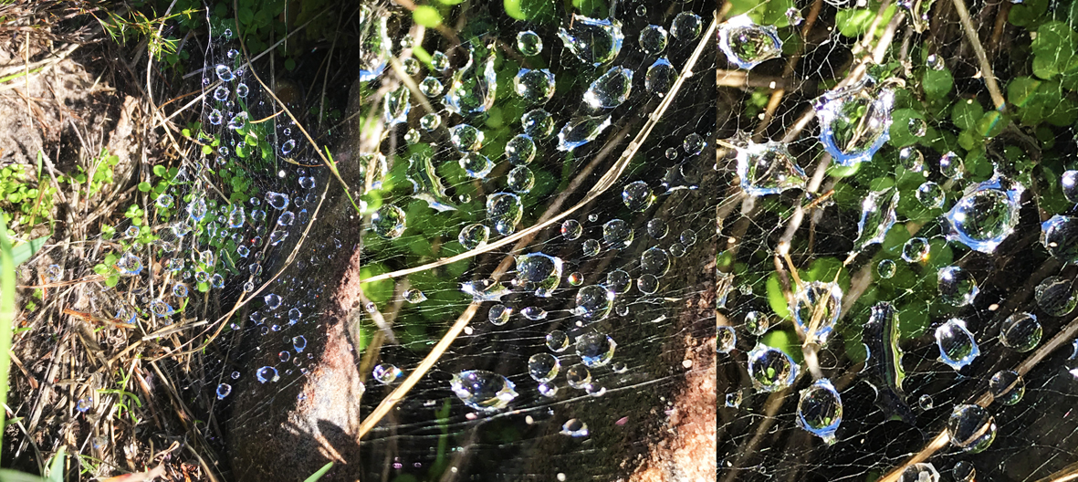 Thought Pieces – The Kopanya Institute